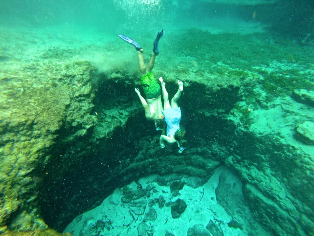 30 Dreamy Photos to Inspire You To Visit Ginnie Springs Florida in 2025 ...