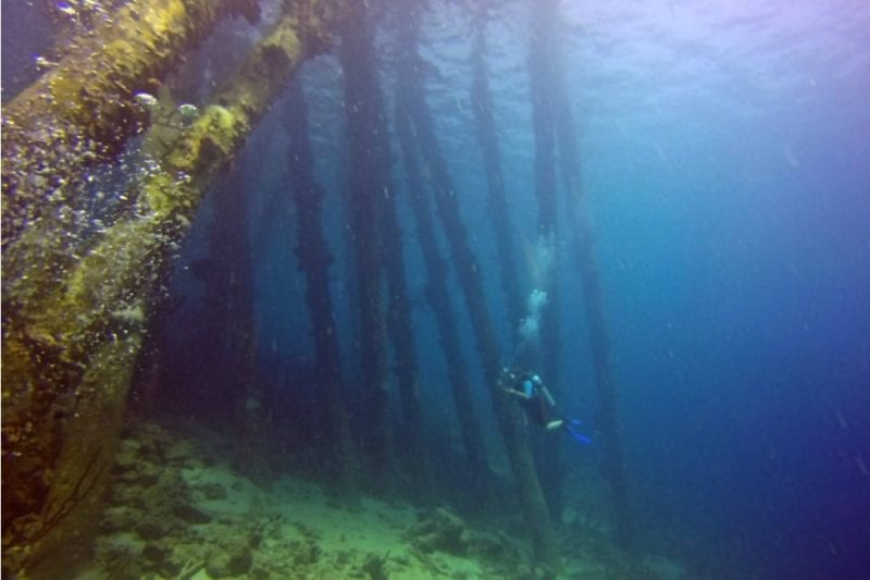 21 Photos of Salt Pier: The Most Magical of Bonaire Diving - Angie Away