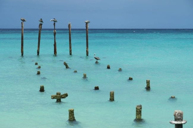 5 Reasons to Smile in Aruba – Angie Away | Travel Expert