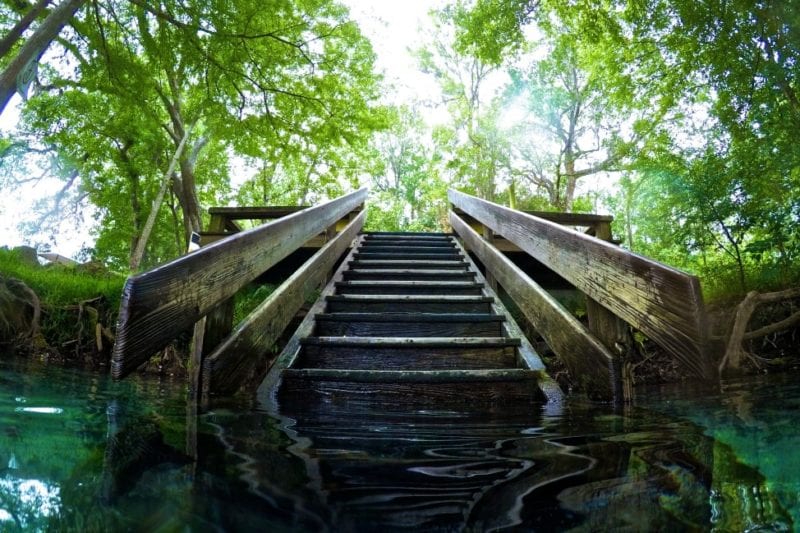 30 Dreamy Photos to Inspire You To Visit Ginnie Springs Florida in 2026 ...