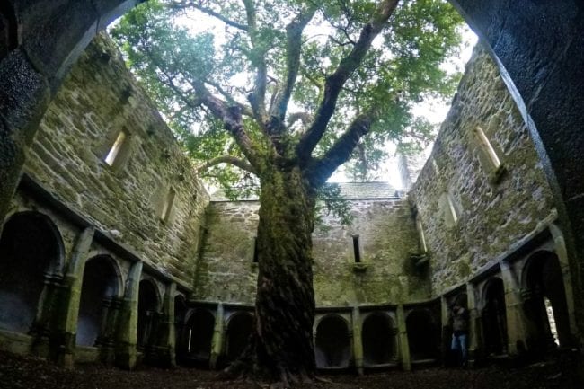 A Runaway Jaunting Car in Ireland - Angie Away | Travel Expert