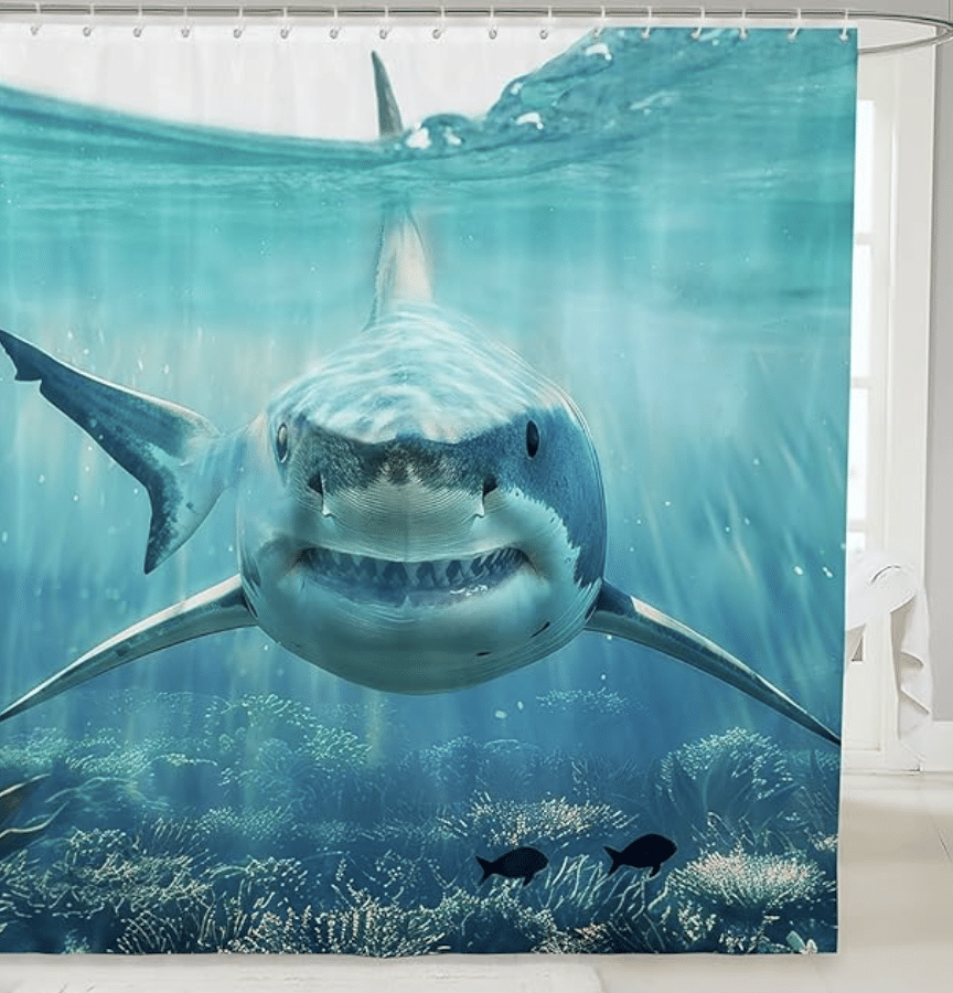 25 Gifts for the Shark Lover in your Life – Angie Away | Travel Expert