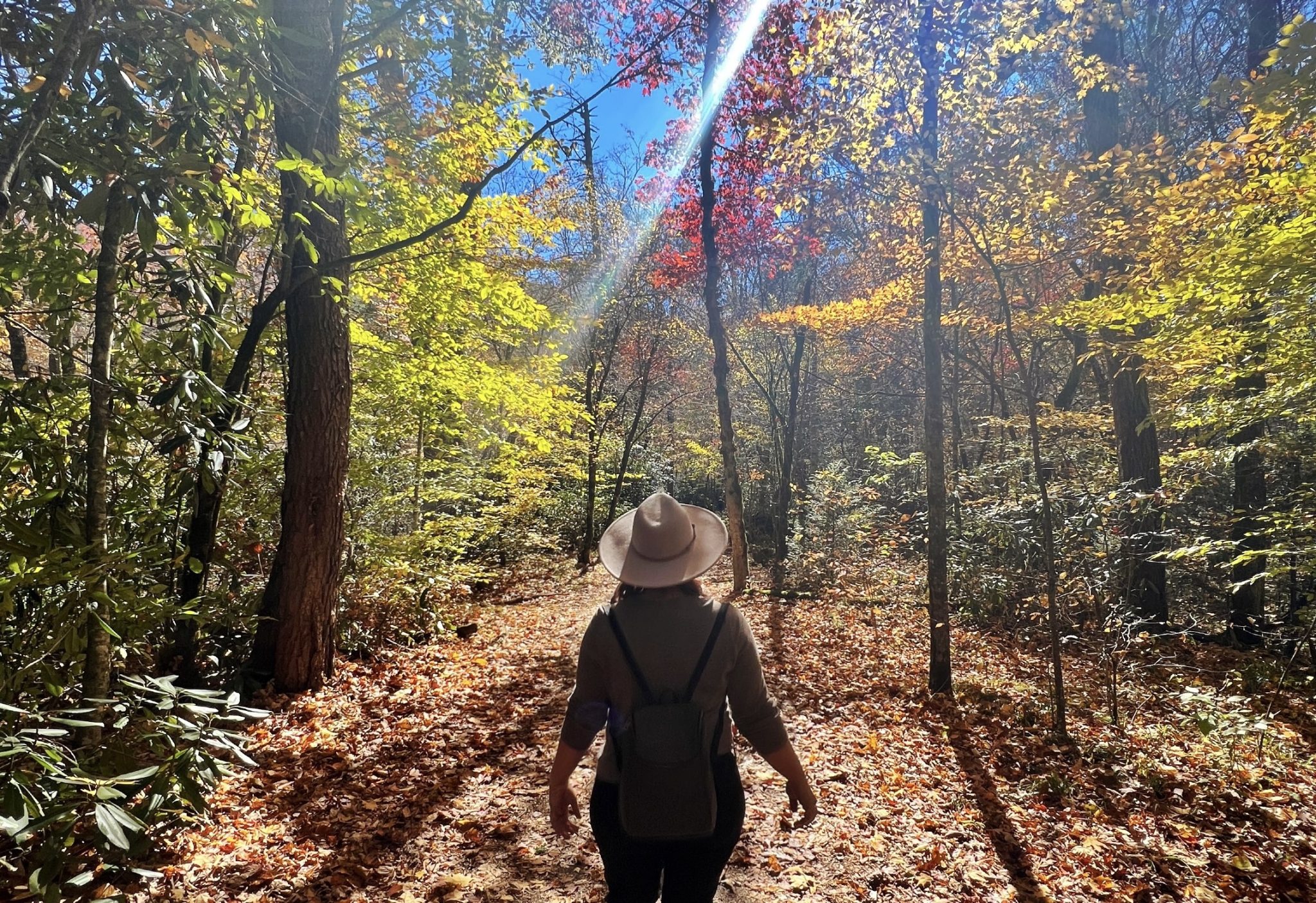 Angie, Author at Angie Away | Travel Expert - Page 2 of 47