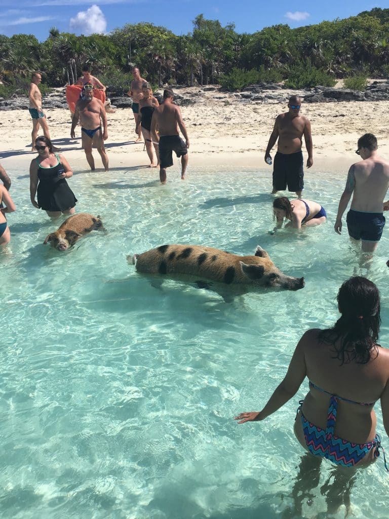 Swimming Pigs of Exuma: 6 Tips for the Perfect Visit - Angie Away ...