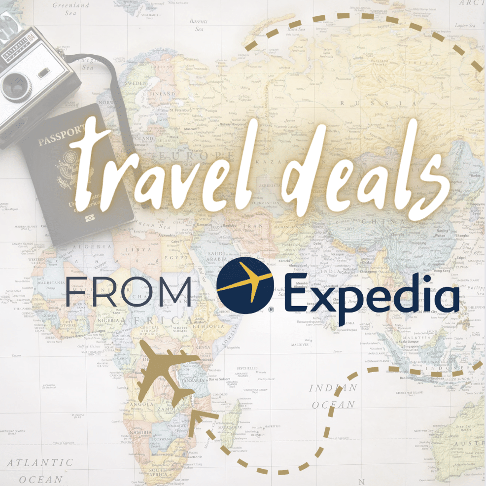 Gator-Aid for the Soul: Alligator Safety Tips from a Native Floridian